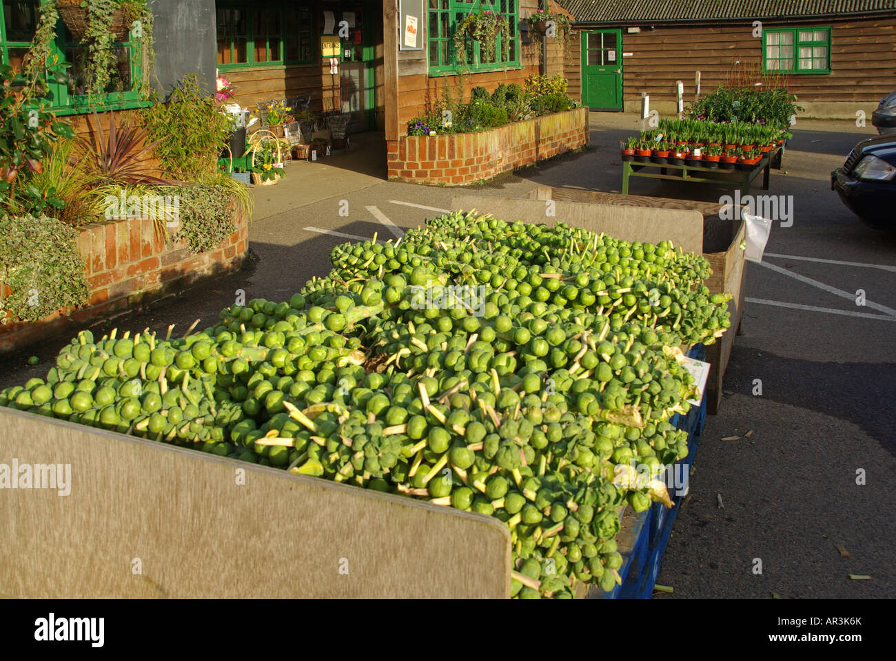 Farm shop premises with outdoor bench of self serve Brussel sprouts on ...