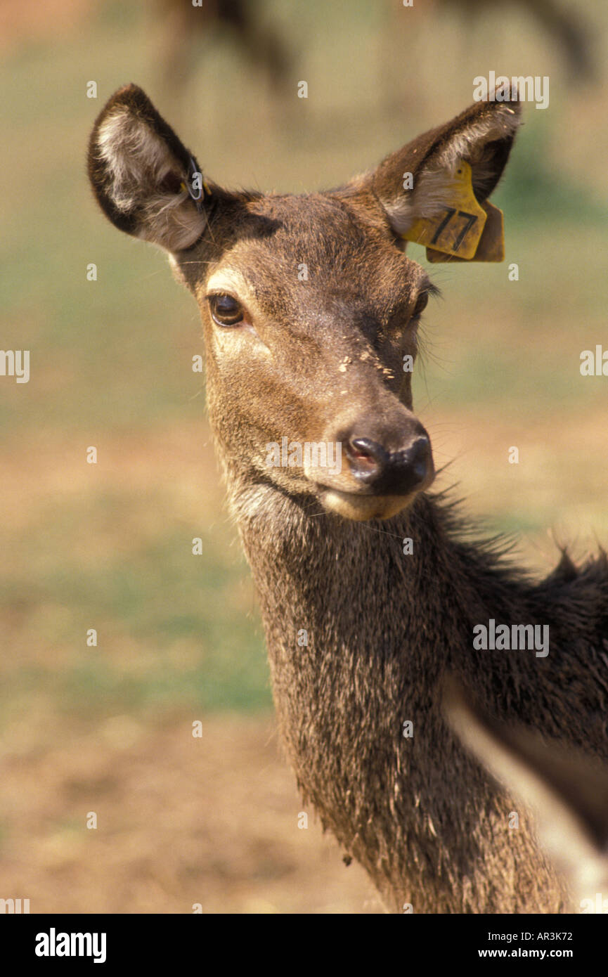 Farming in southwest england hi-res stock photography and images - Alamy
