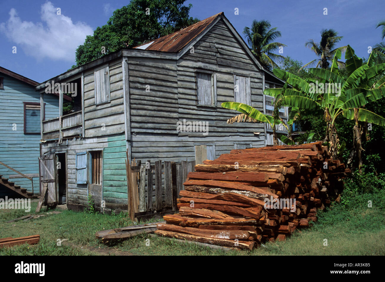 Wooden house and cut forest wood Belize Stock Photo - Alamy