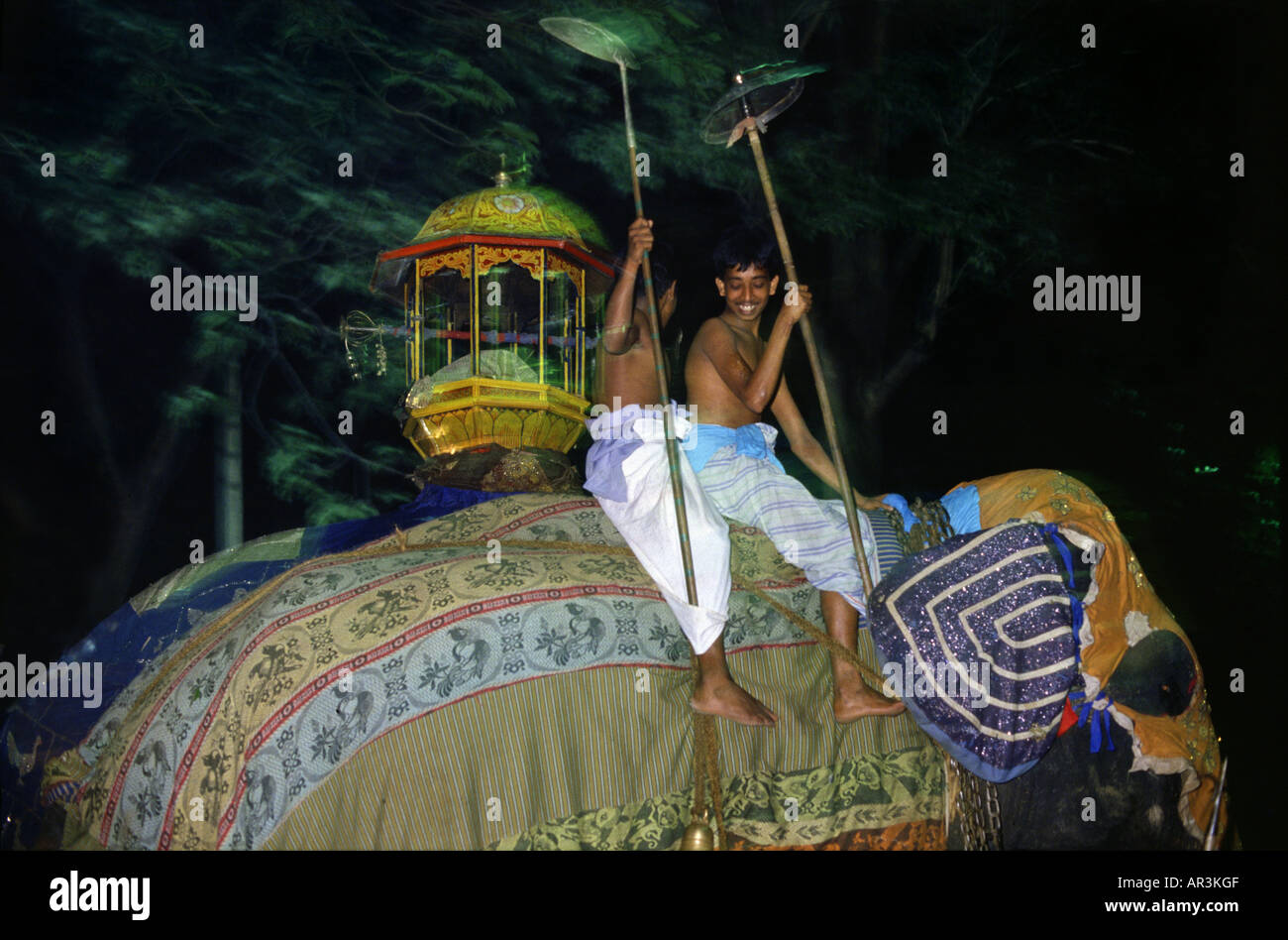 Elephant, Kandy Perahera buddhist festival, Kandy, Sri Lanka Asia Stock ...