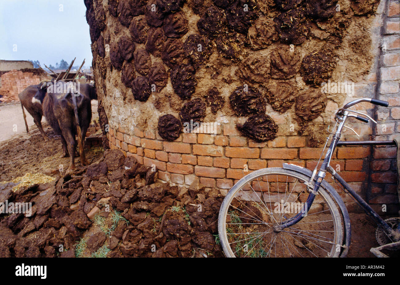 Pathi hi-res stock photography and images - Alamy