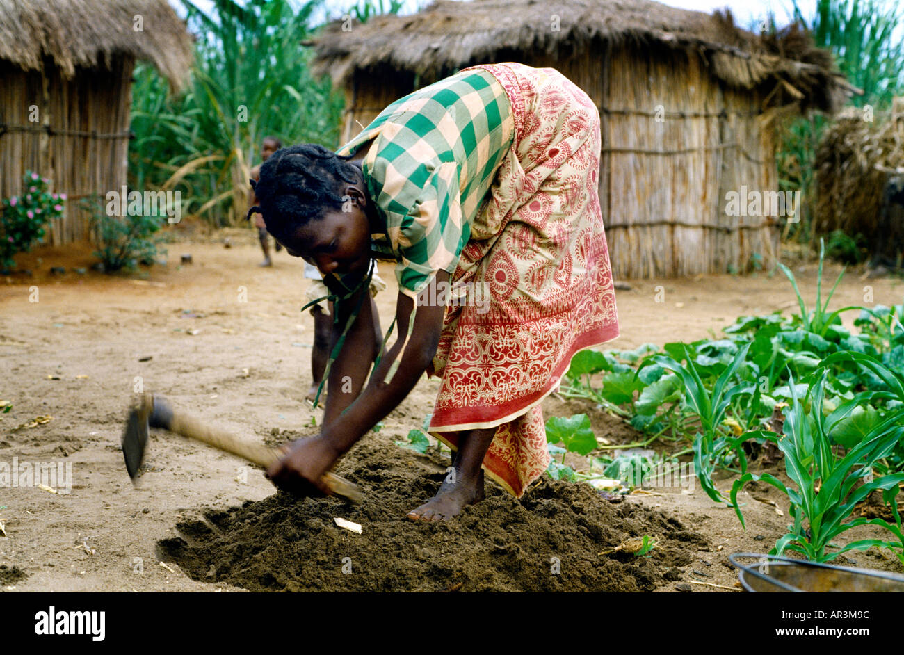 Mozambique Woman Digging In Village Stock Photo - Alamy