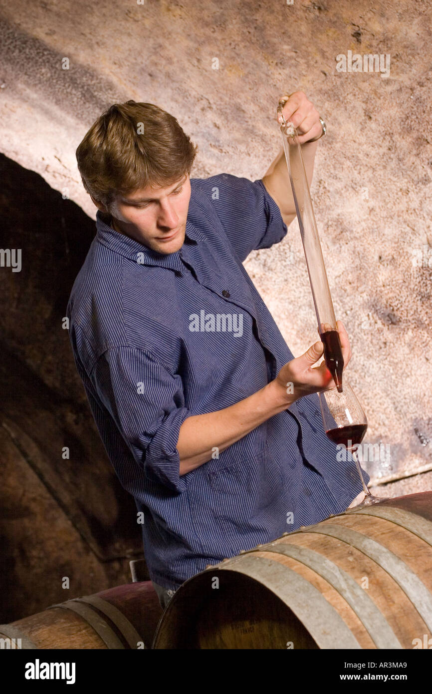 Cellarmaster hi-res stock photography and images - Alamy