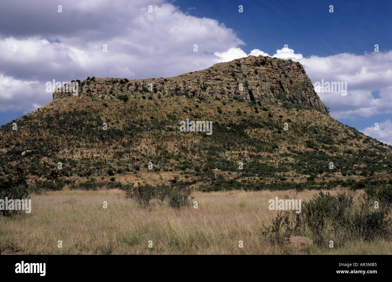 Ulundi kwazulu natal south africa hi-res stock photography and images ...