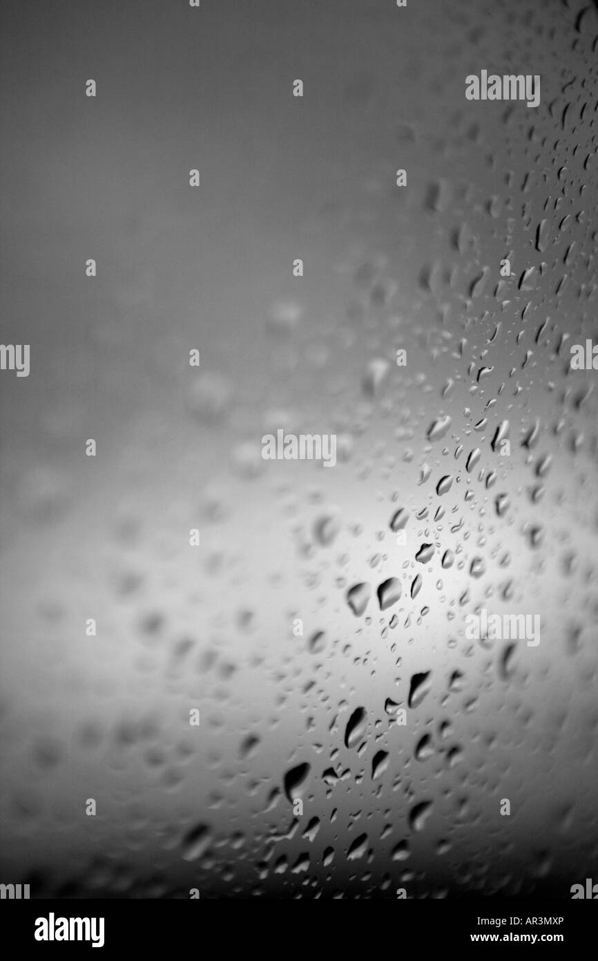 Window cats Black and White Stock Photos & Images - Alamy