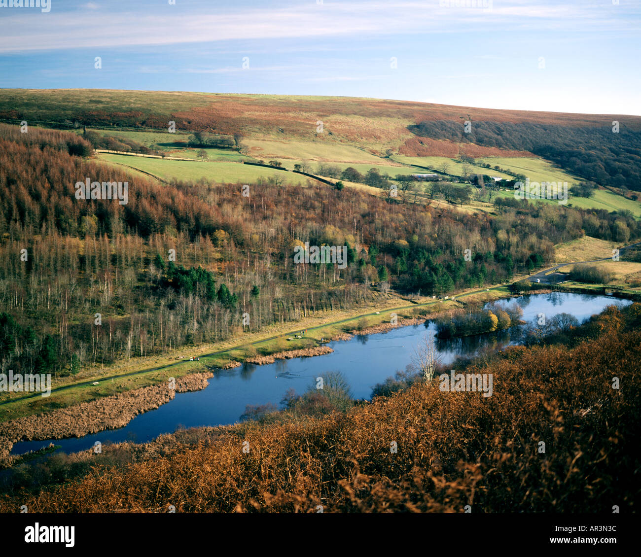 Cwm Parc High Resolution Stock Photography and Images - Alamy