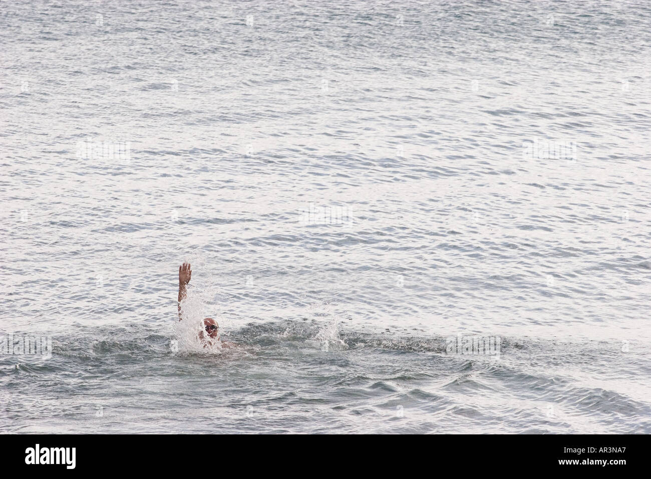 Swimmer in sea for early morning swim Stock Photo - Alamy