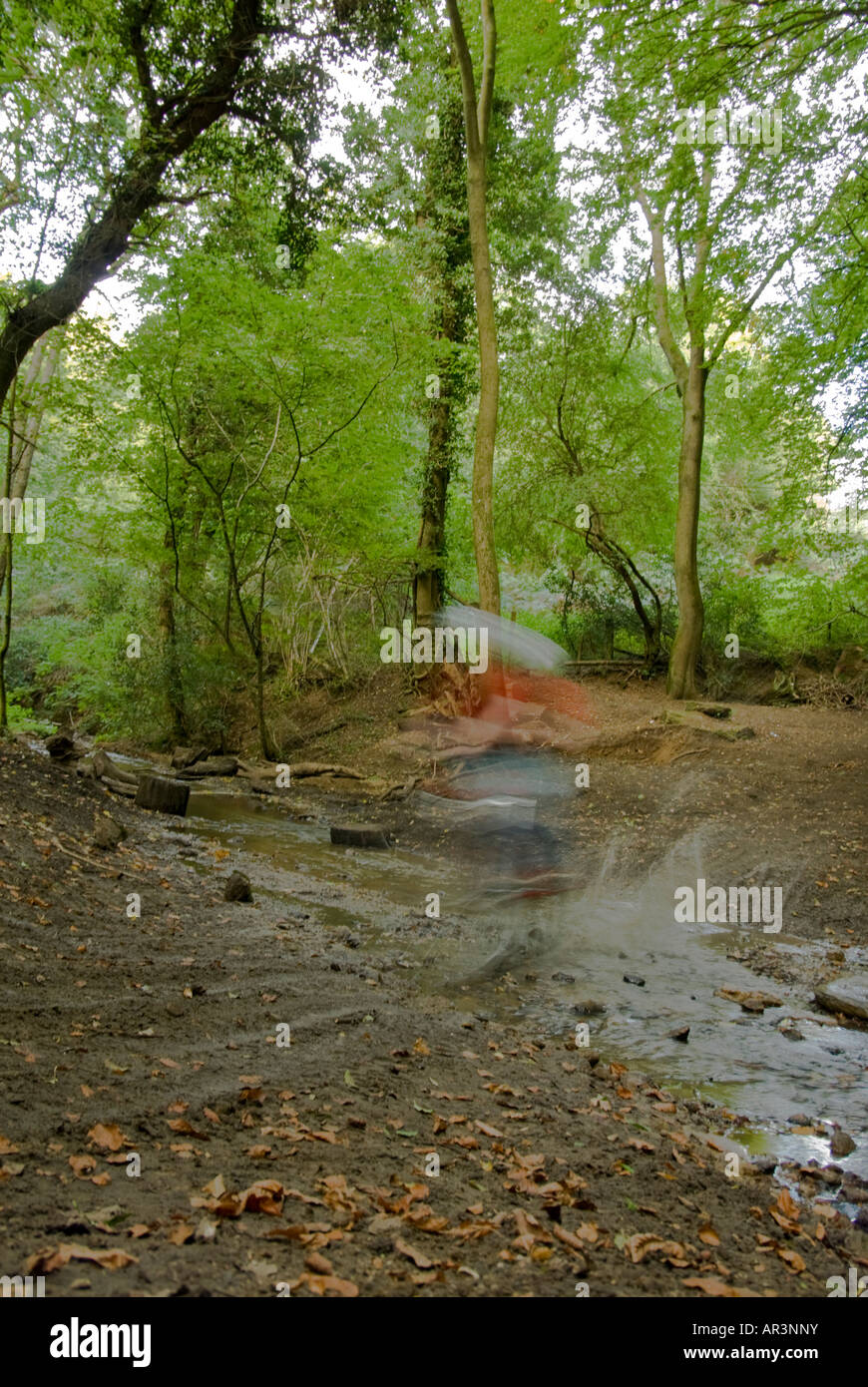 motion in steam forest stream with bike rider Stock Photo - Alamy