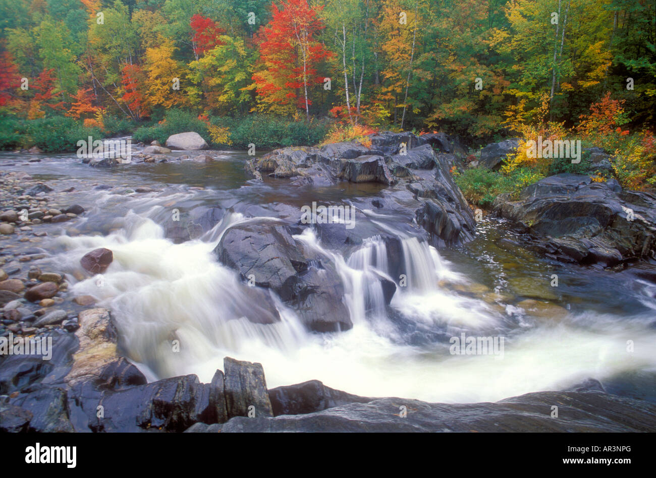 Autumn along the Swift River in Coos Canyon Byron Maine Stock Photo - Alamy