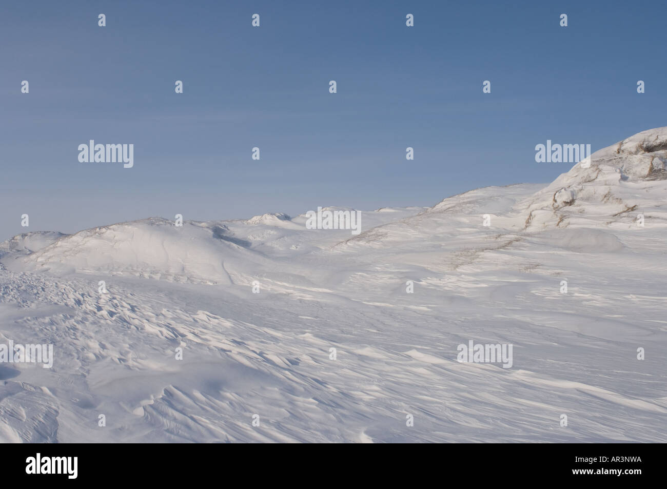 site of a polar bear den along the Arctic coast eastern Arctic National ...