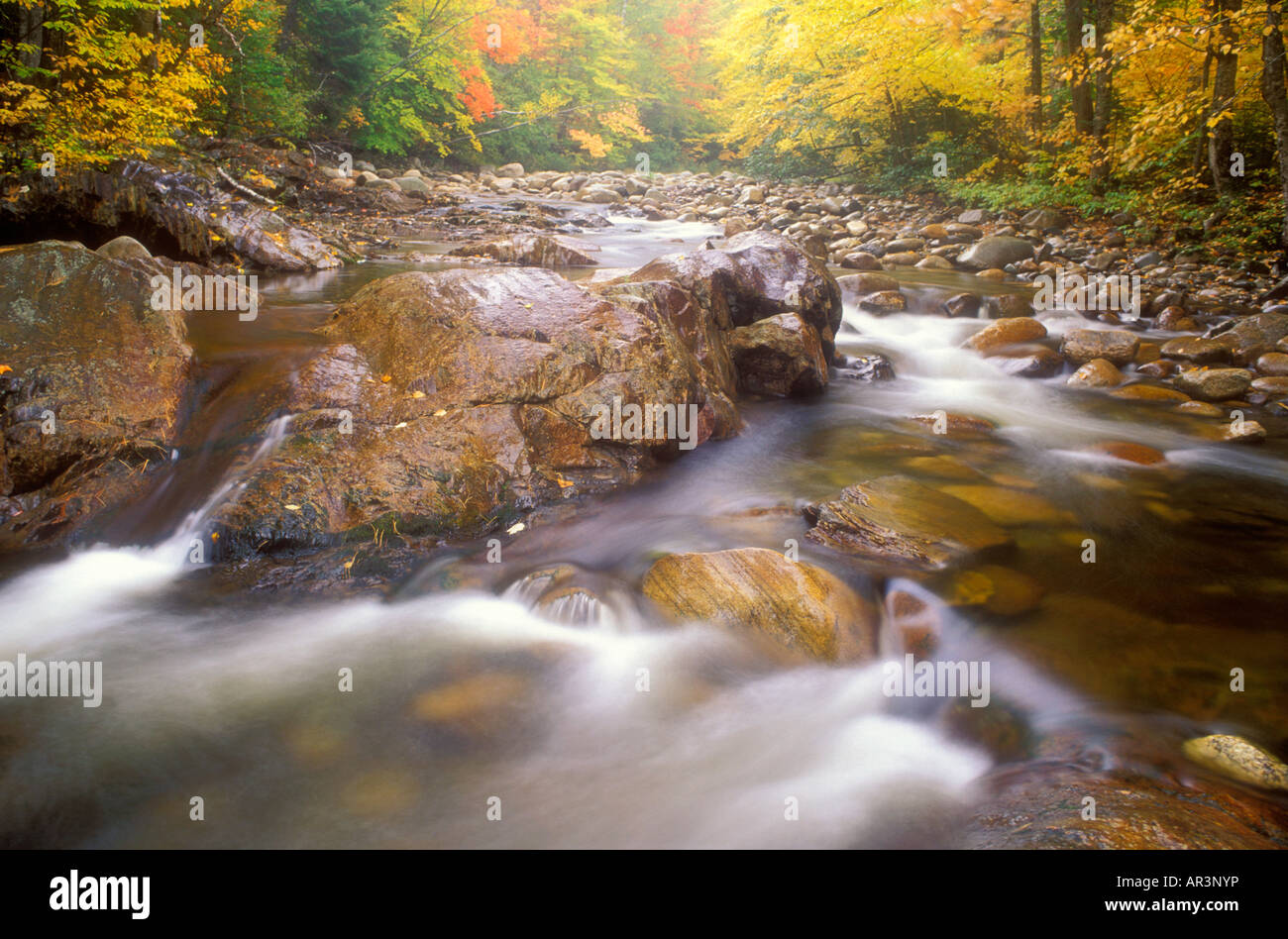 Autumn along the Swift River Byron Maine Stock Photo - Alamy