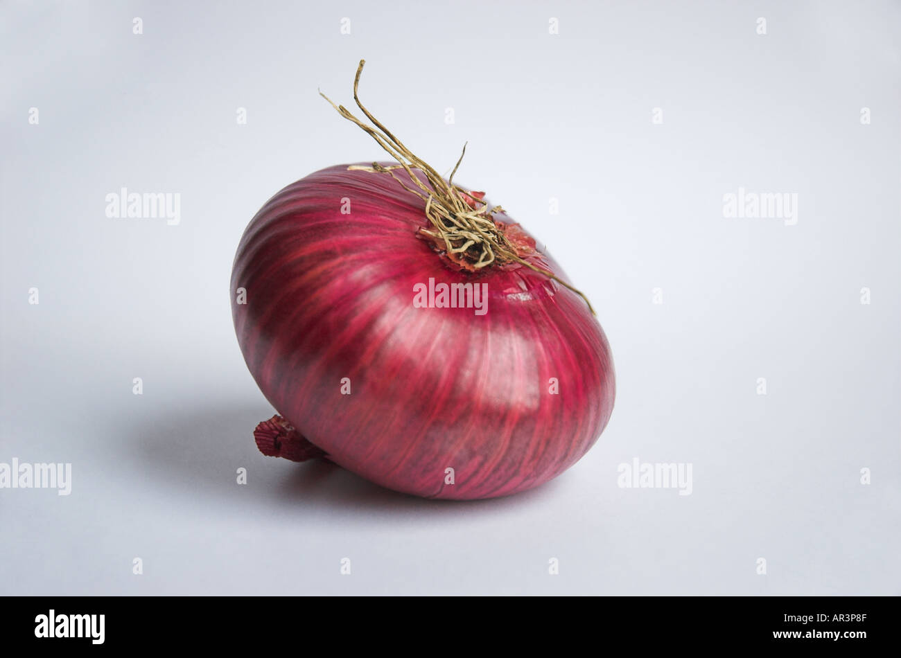 One organic red onion Stock Photo - Alamy