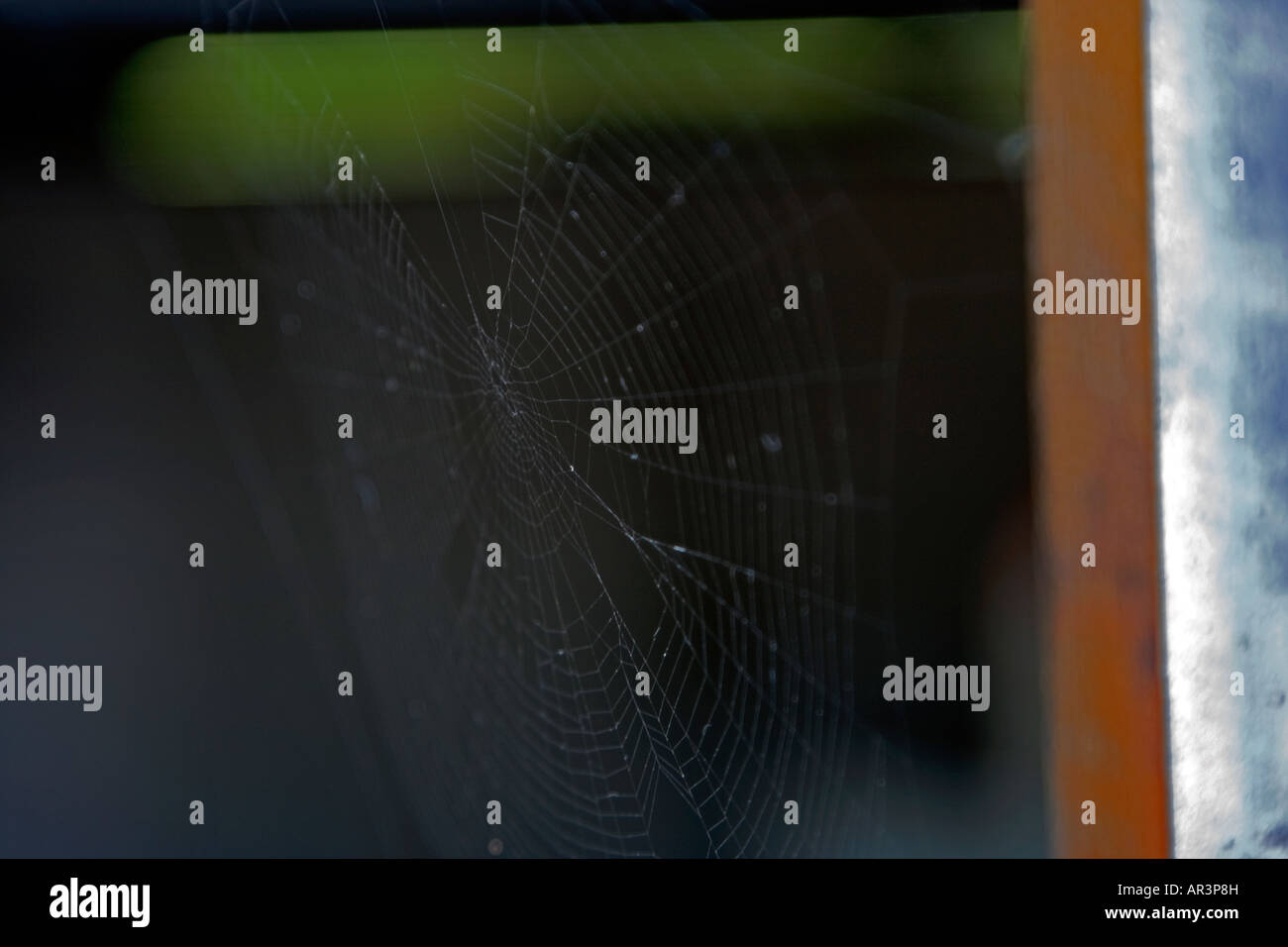 Charlotte the spider hi-res stock photography and images - Alamy