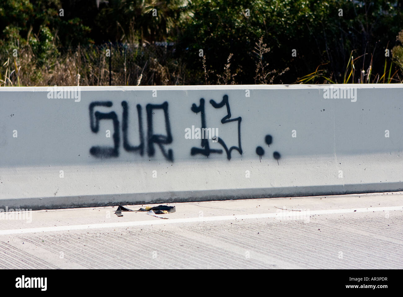 Sur 13 Gang Graffiti