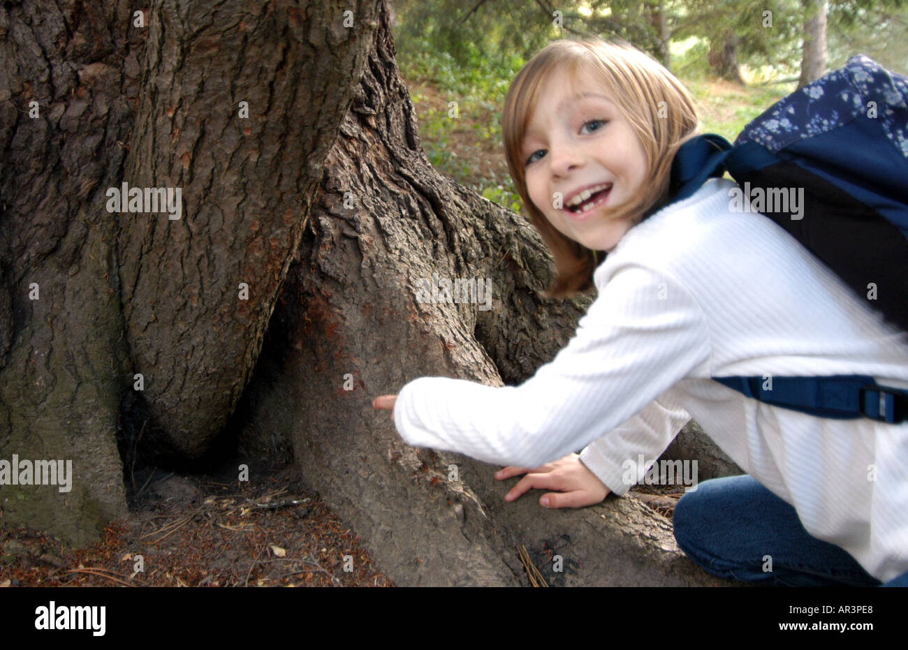 Child pointing at hole in a tree Stock Photo - Alamy