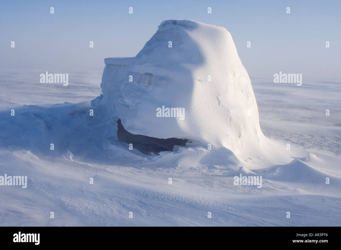 igloo snow blind after a storm along the Arctic coast Arctic National ...