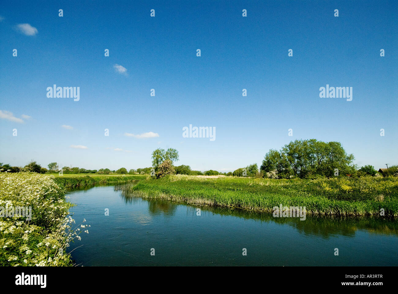 pic martin phelps 02 06 06 castle eaton Stock Photo - Alamy