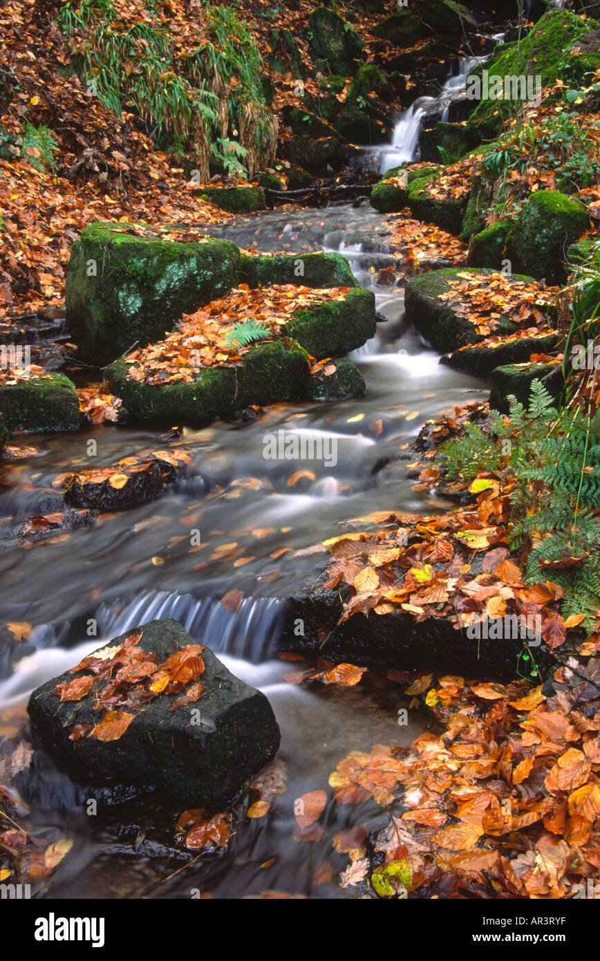 Wye valley wales waterfall hi-res stock photography and images - Alamy