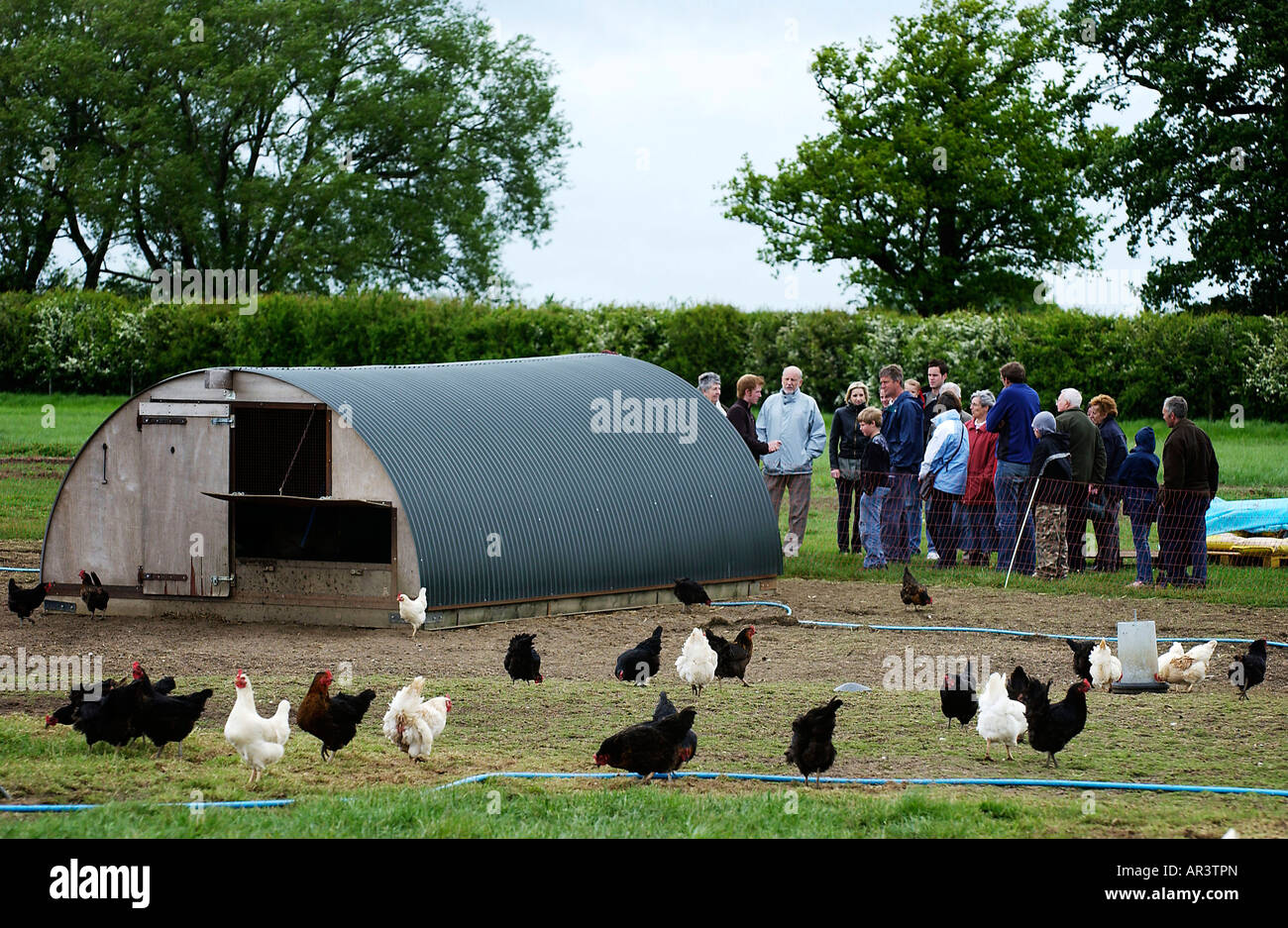 farm visit to hen runs on an organic farm, bishopstone uk helen ...