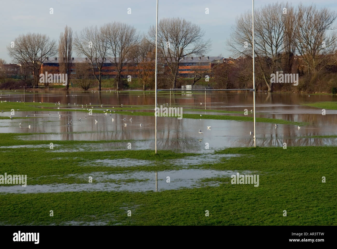 Flooded playing fields of Caludon Castle School in Coventry Stock Photo ...
