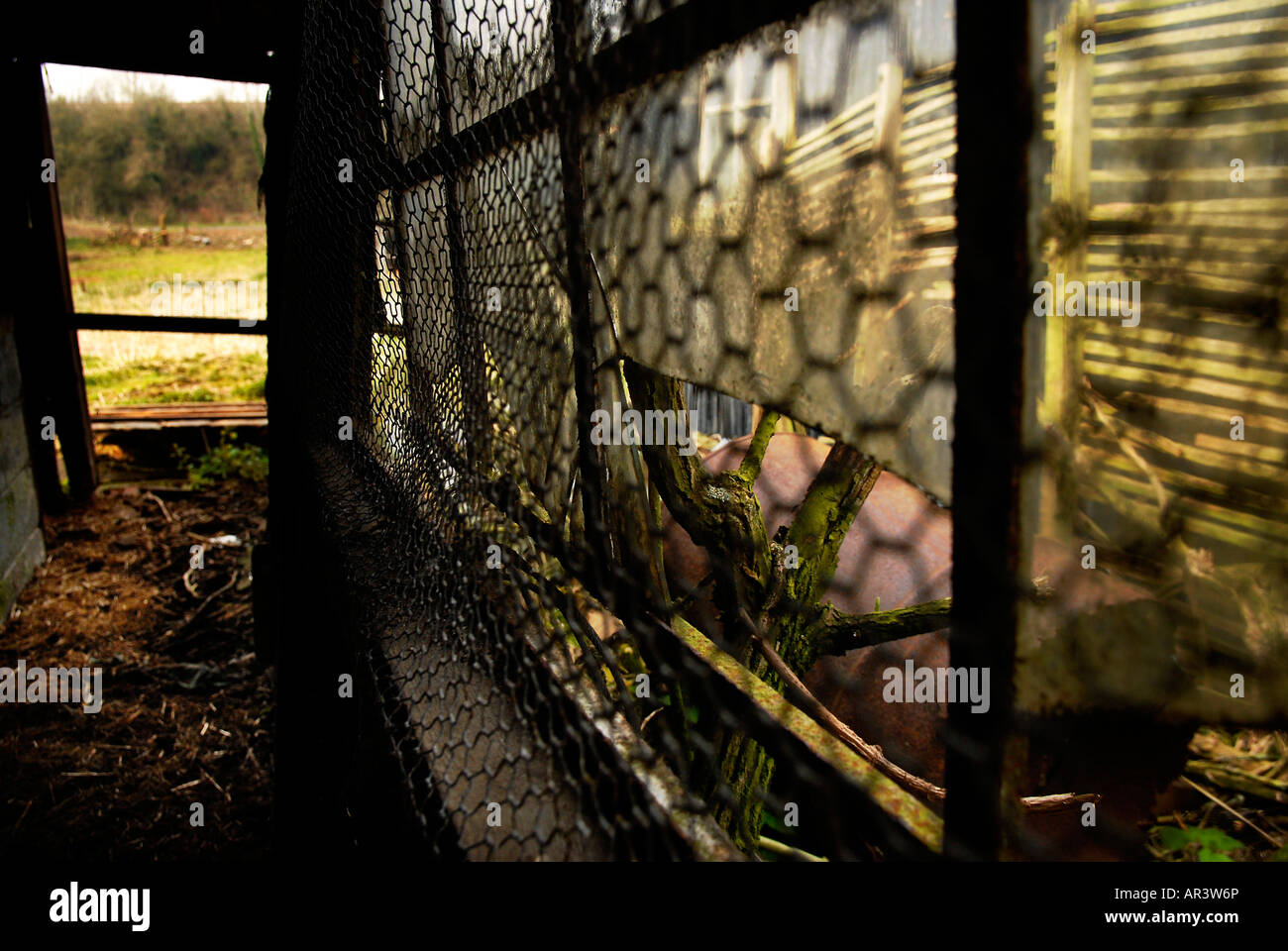 derelict shed with chicken wire over windows Stock Photo - Alamy