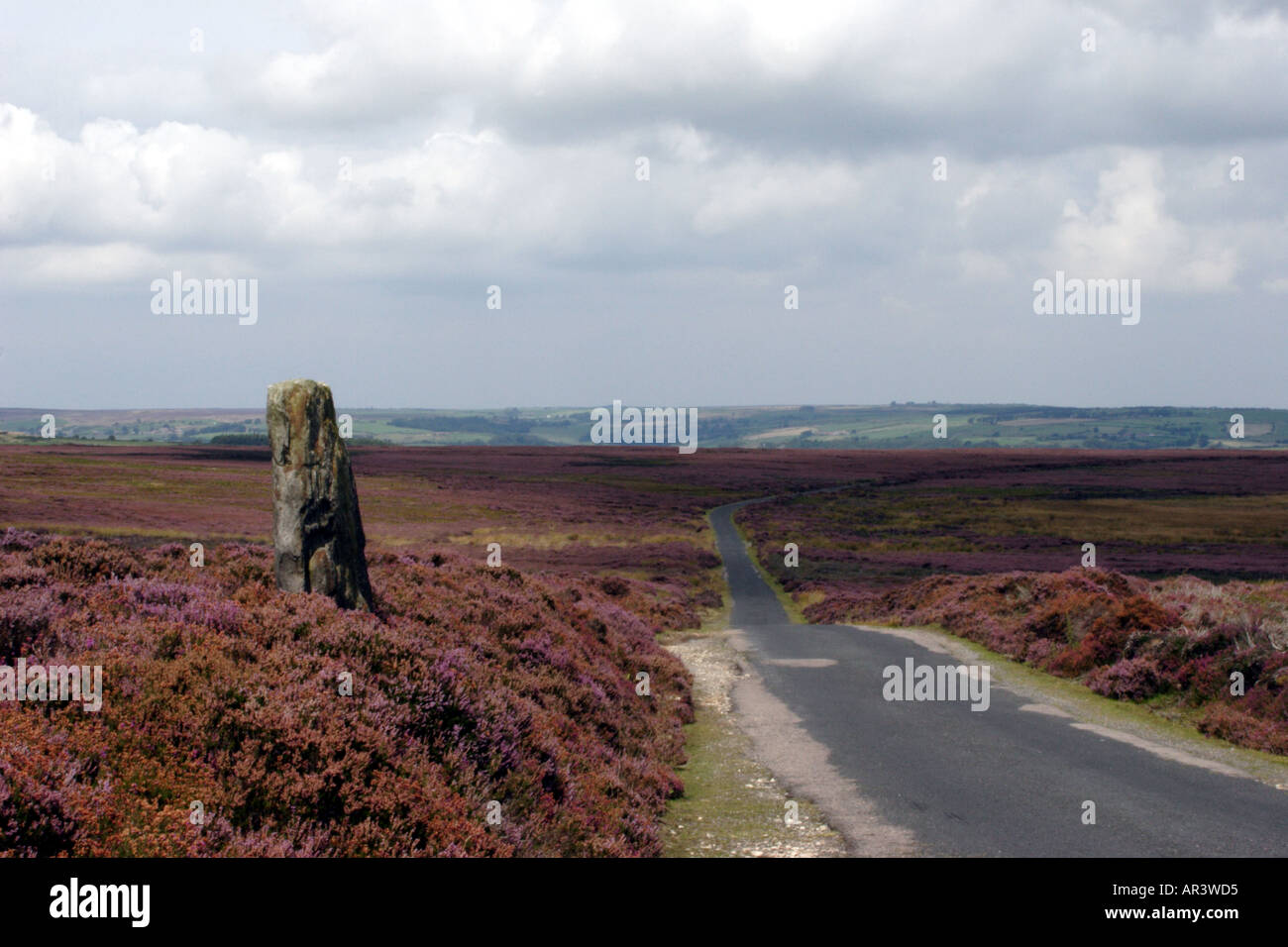 Standing Stone at Mirk Mire Moor in the North York Moors Stock Photo ...