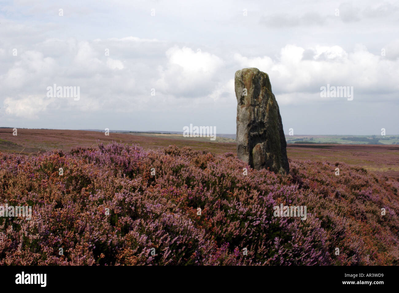 Standing Stone at Mirk Mire Moor in the North York Moors Stock Photo ...