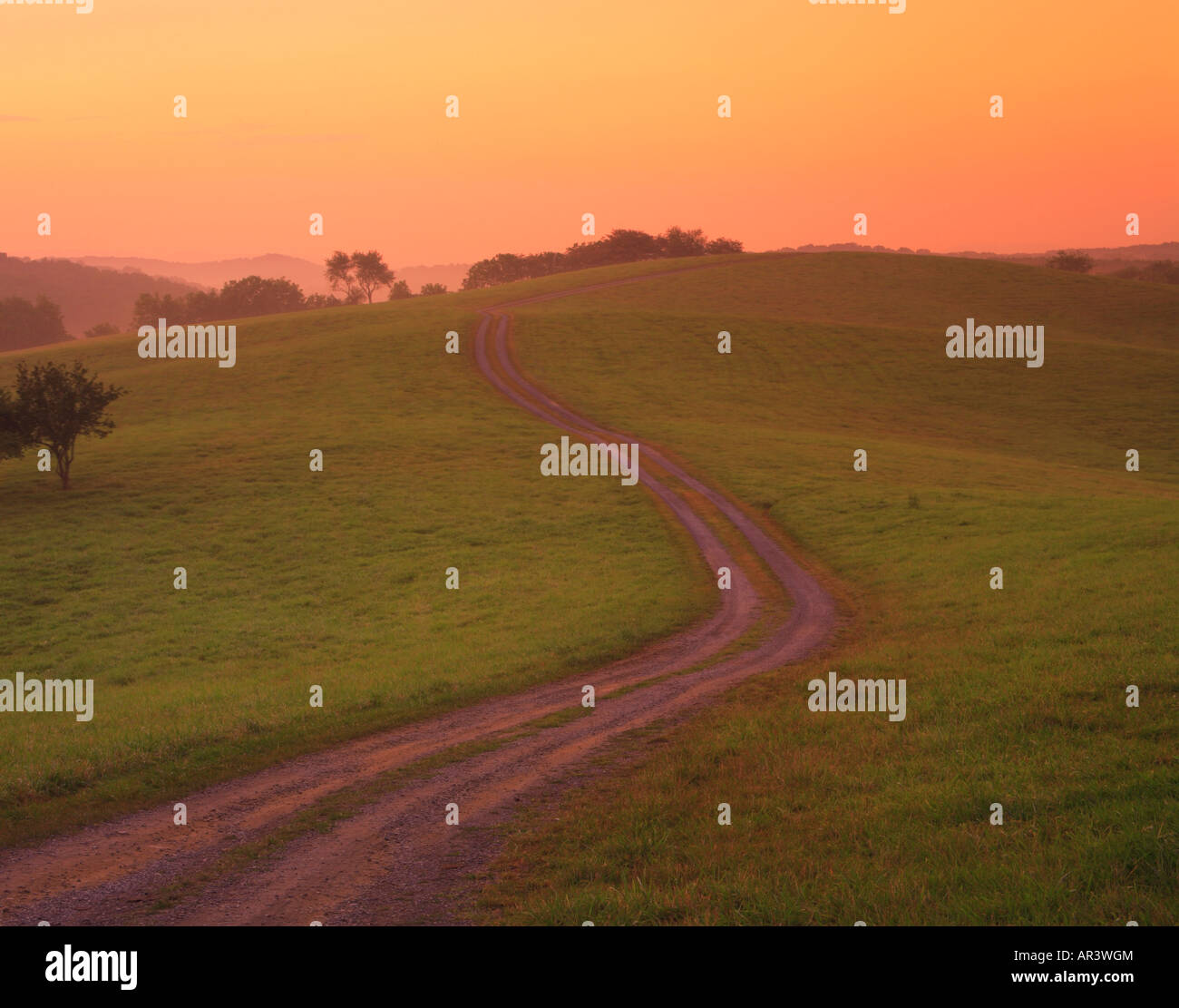 Dawn stover hi-res stock photography and images - Alamy