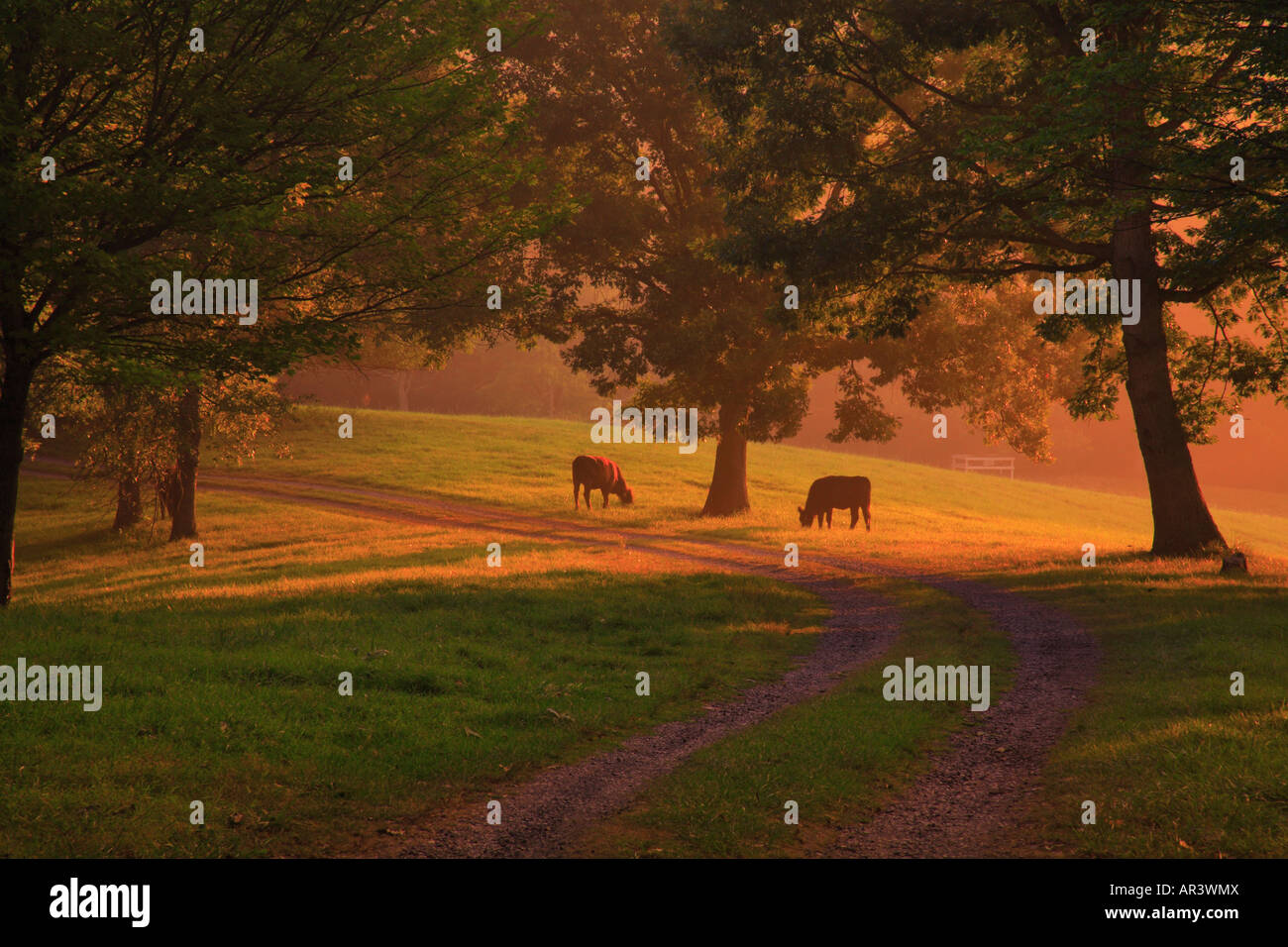 Dawn stover hi-res stock photography and images - Alamy