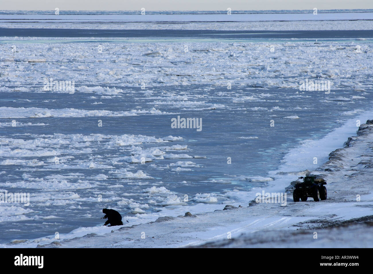inupiat elder Jimmy Soplu along the Arctic coast during fall freeze up ...