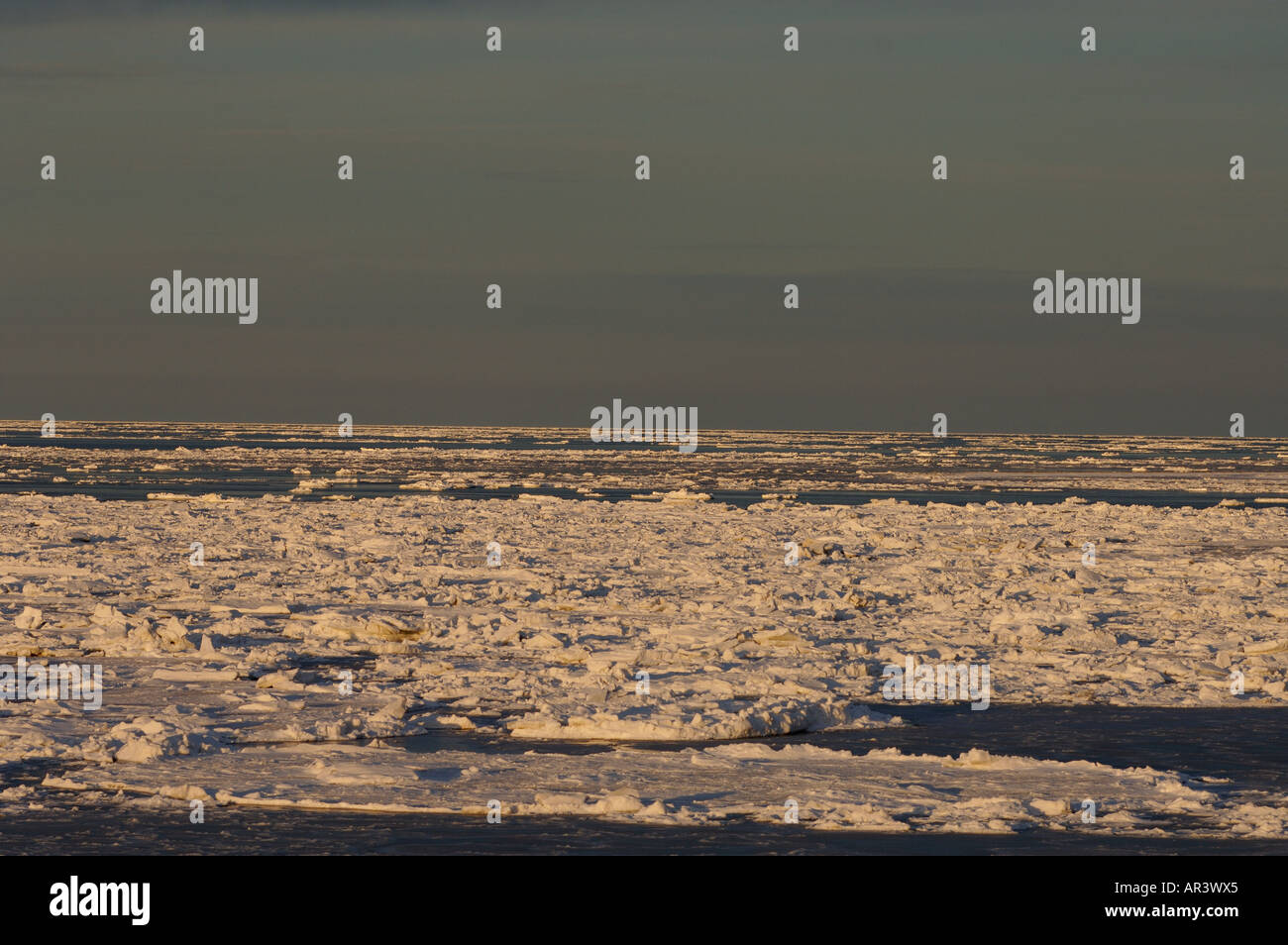 fall freeze up of the Arctic ocean off the coast of the 1002 coastal ...