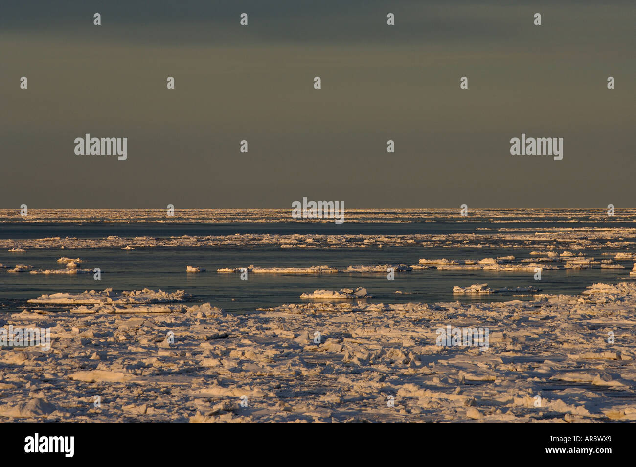 fall freeze up of the Arctic ocean off the coast of the 1002 coastal ...