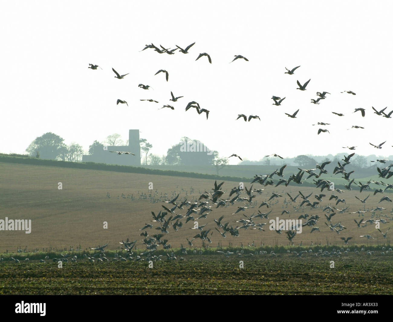 Edingthorpe church hi-res stock photography and images - Alamy