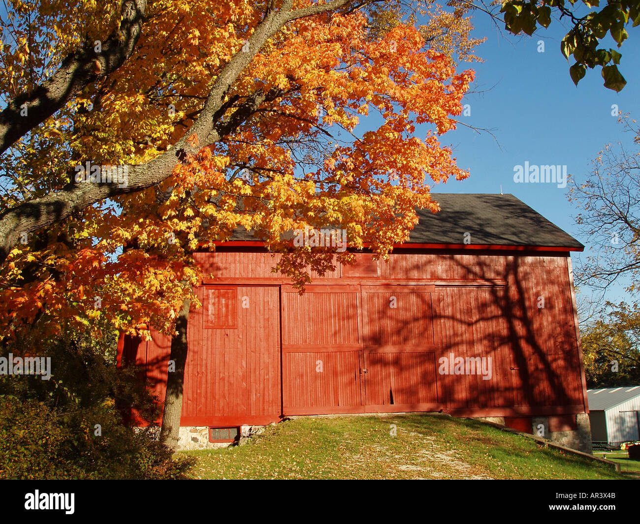 Autumn Barn and Leaves Stock Photo - Alamy