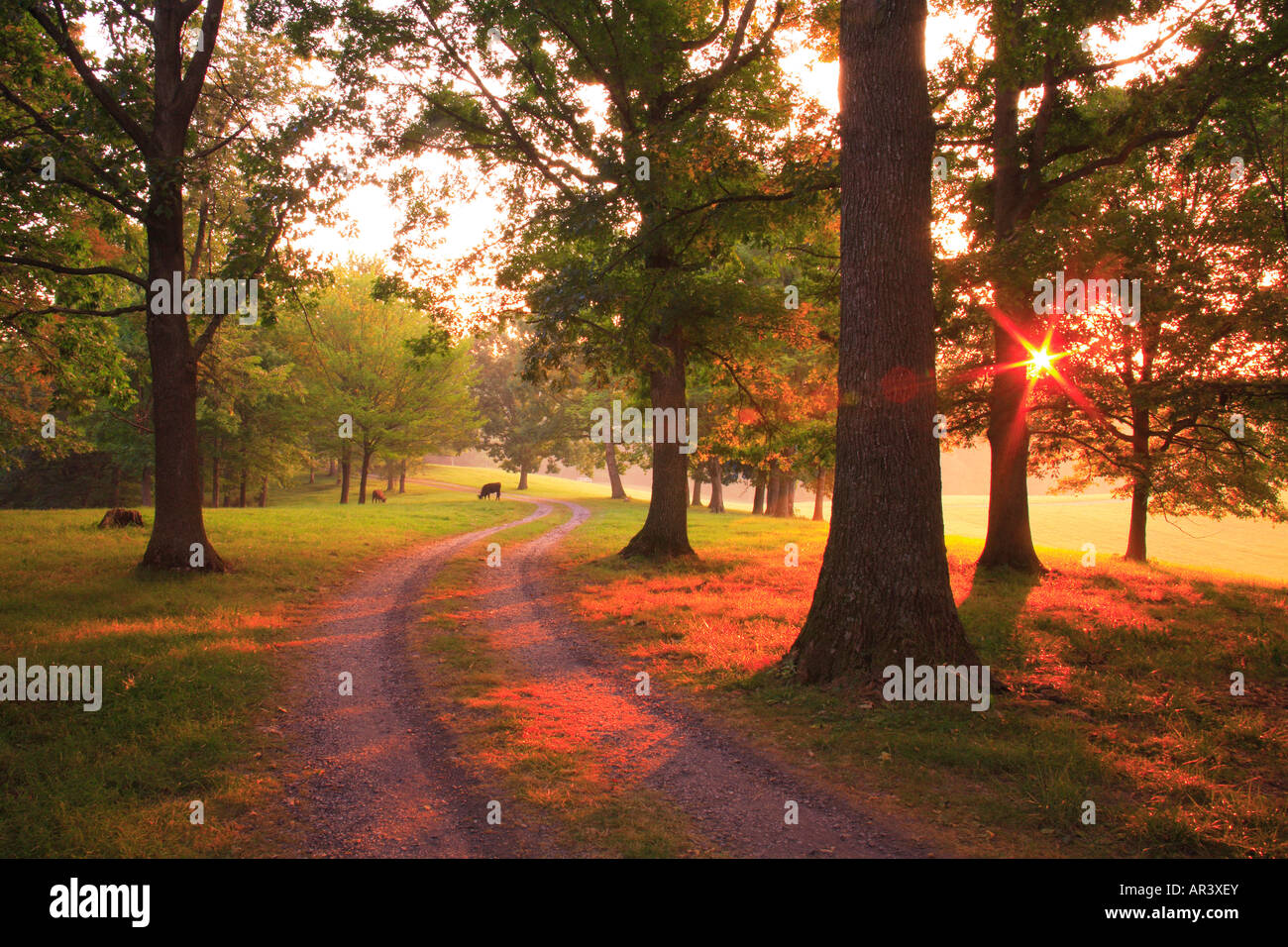 Dawn stover hi-res stock photography and images - Alamy
