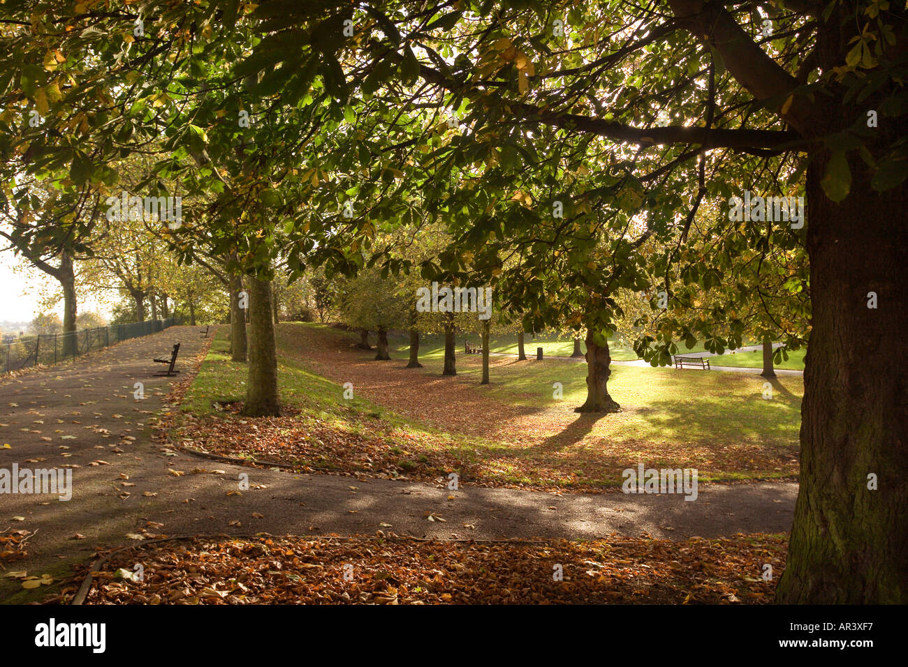 Colchester Castle Park in the Autumn Stock Photo - Alamy