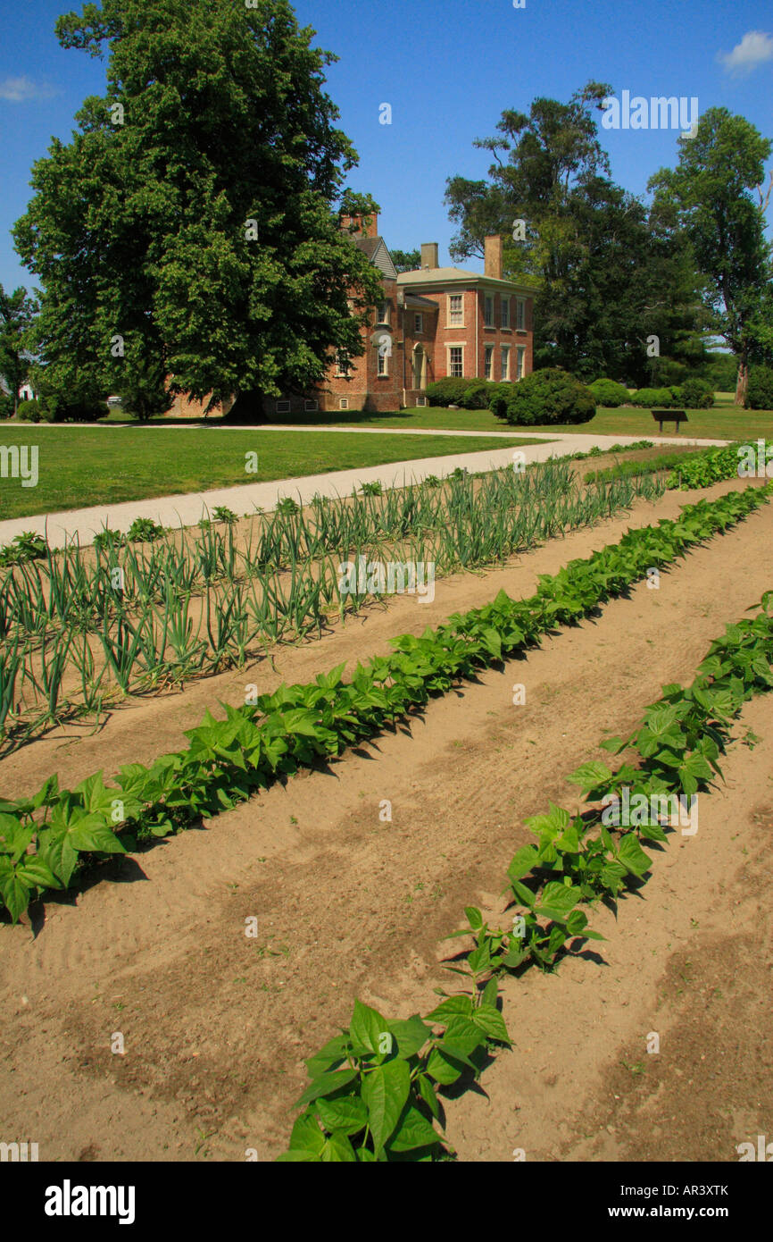 Garden, Bacon's Castle, Surry County, Virginia, USA Stock Photo - Alamy