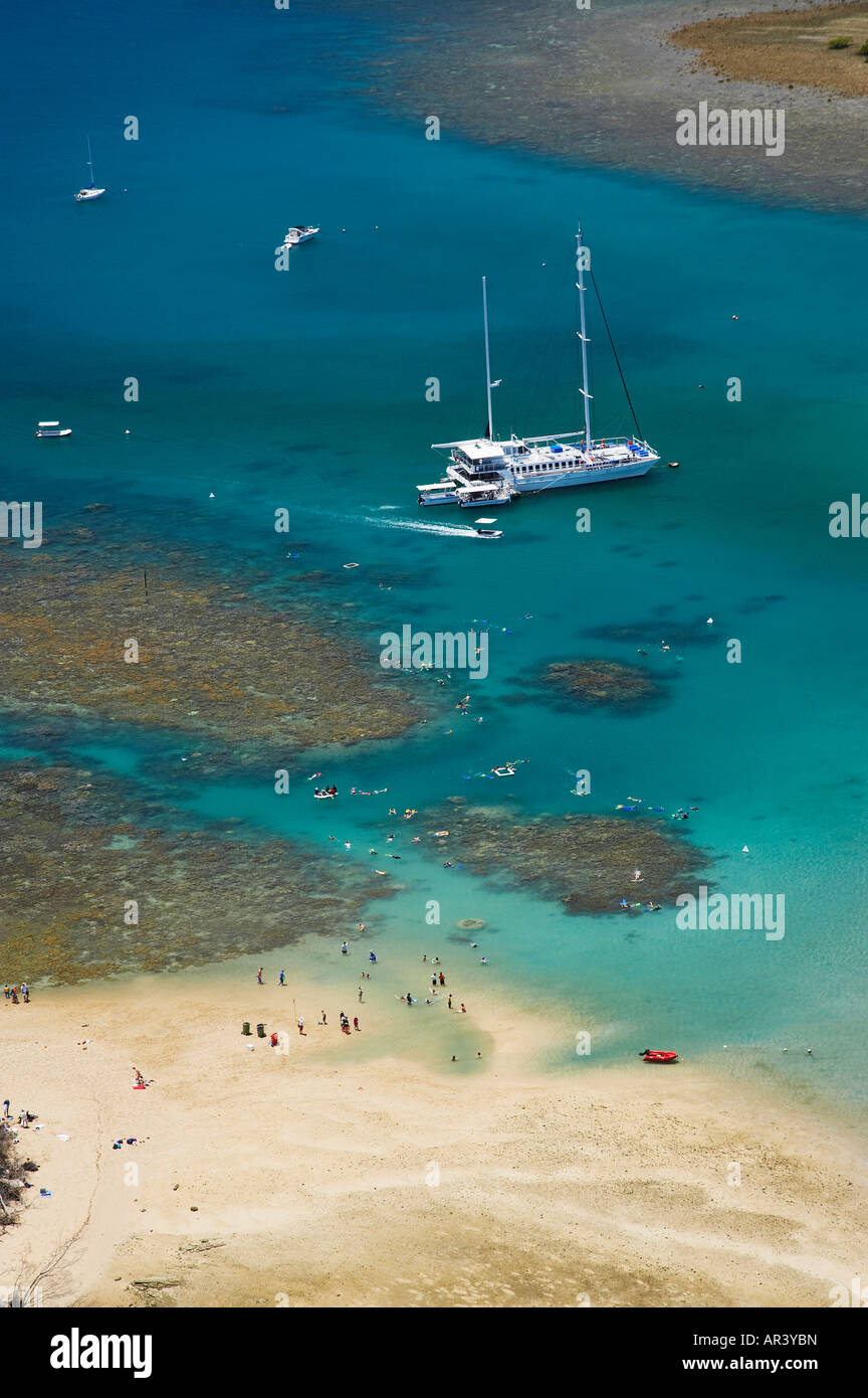 Wavedancer Tourist Boat Snorkelers Low Isles Great Barrier Reef Marine ...