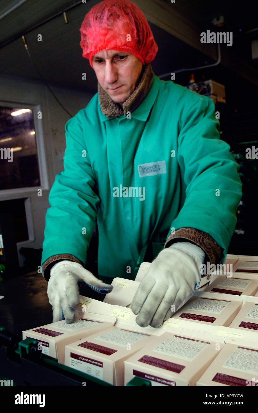 Gibsons sandwich makers Hopton Industrial Estate Devizes packing staff ...