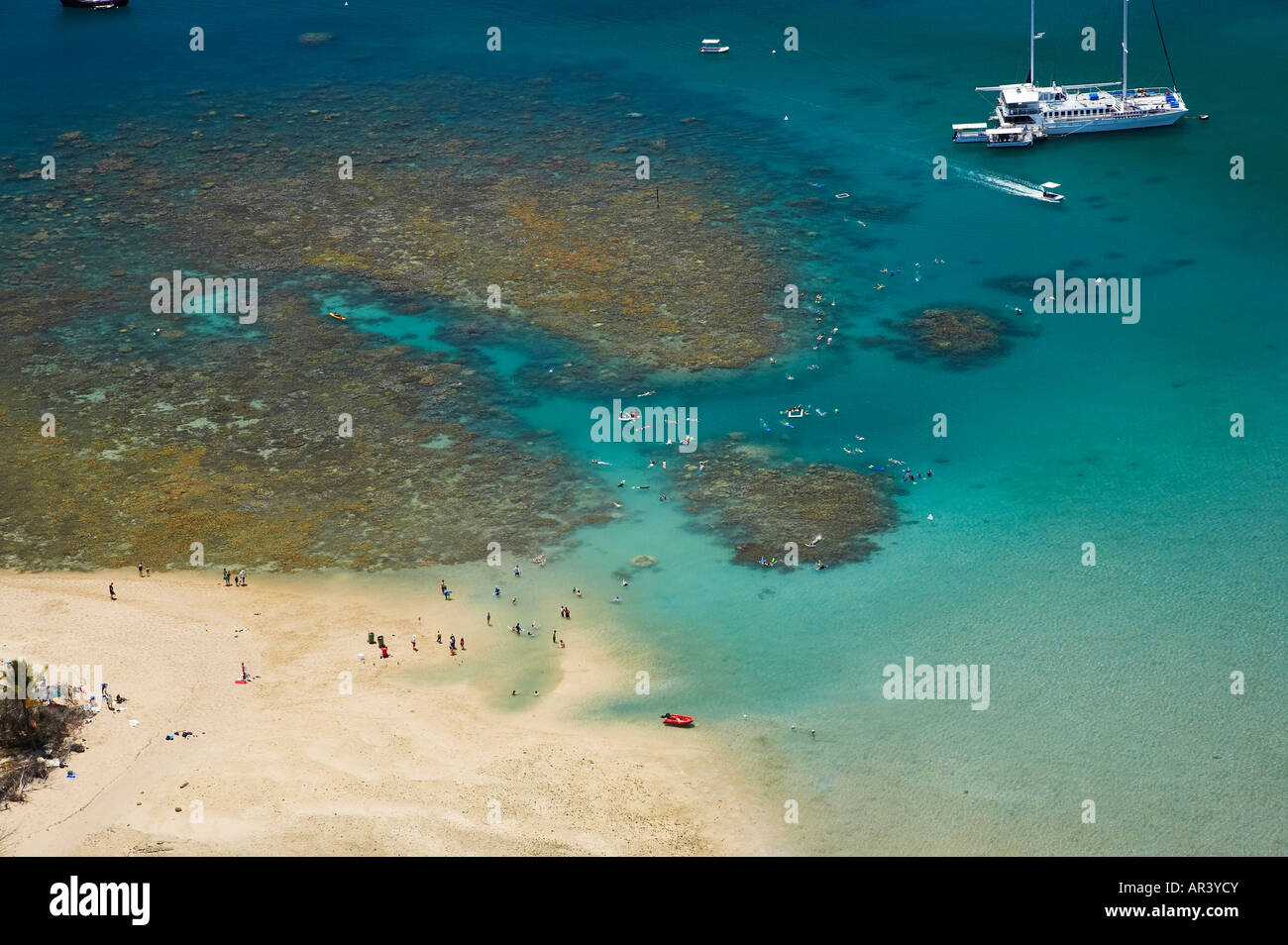 Wavedancer Tourist Boat Snorkelers Low Isles Great Barrier Reef Marine ...