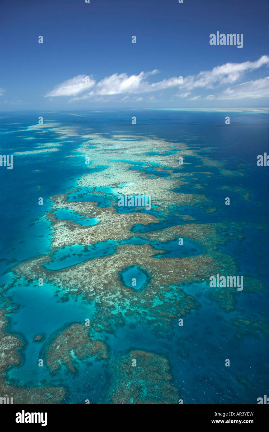 Tongue Reef Great Barrier Reef Marine Park North Queensland Australia ...
