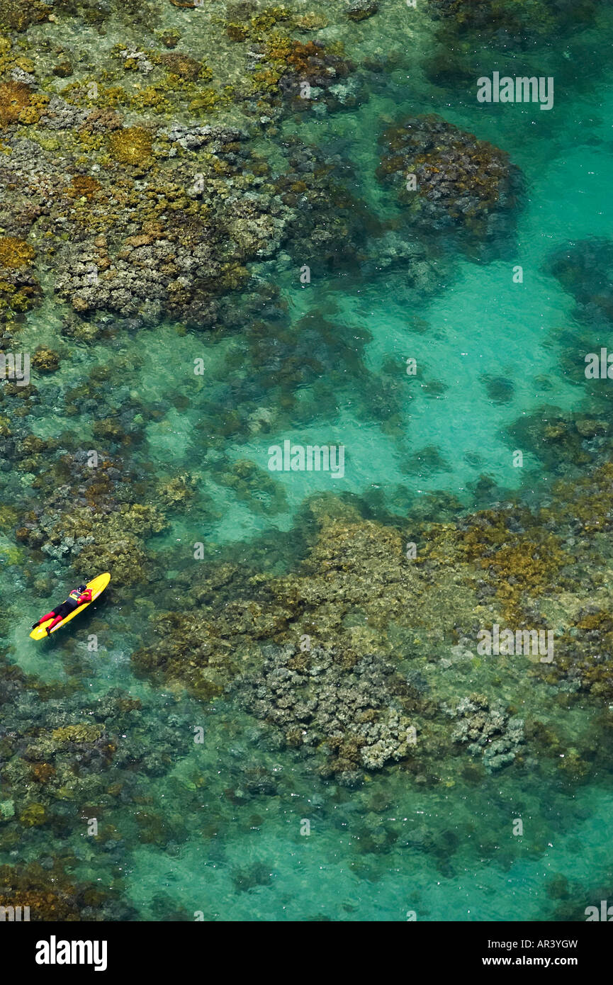 Life Guard and Coral Reef Low Isles Great Barrier Reef Marine Park near ...