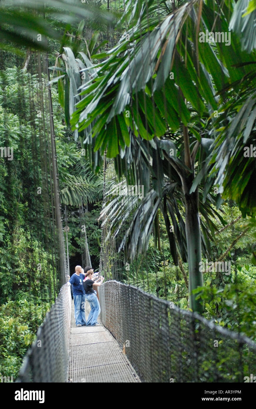 Costa Rica, Arenal Hanging Bridges walkers on canopy walk Stock Photo ...