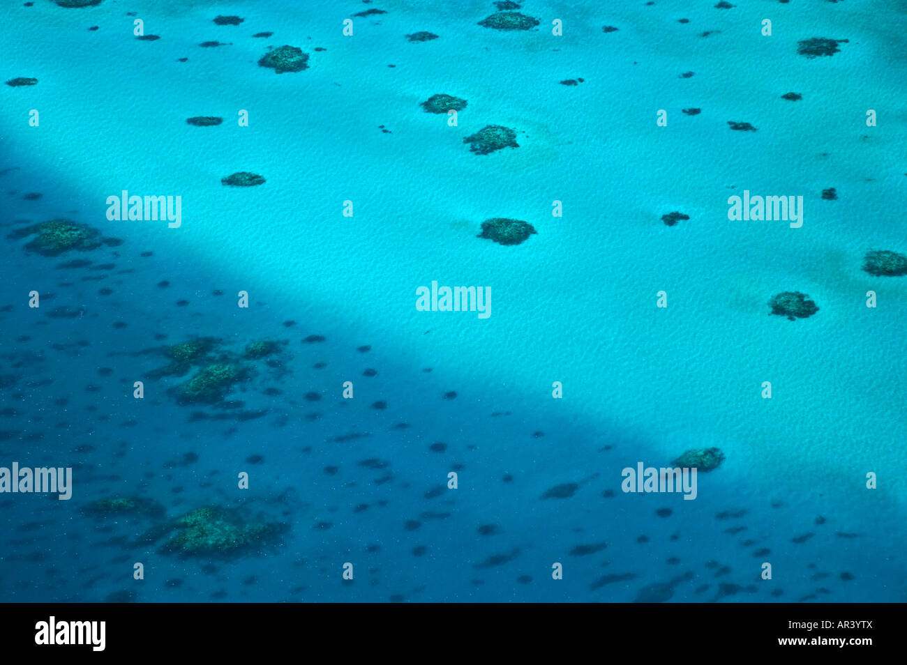 Oyster Reef Great Barrier Reef Marine Park North Queensland Australia ...
