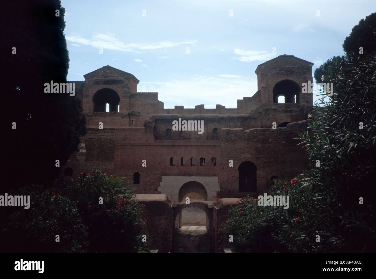 Asinaria hi-res stock photography and images - Alamy