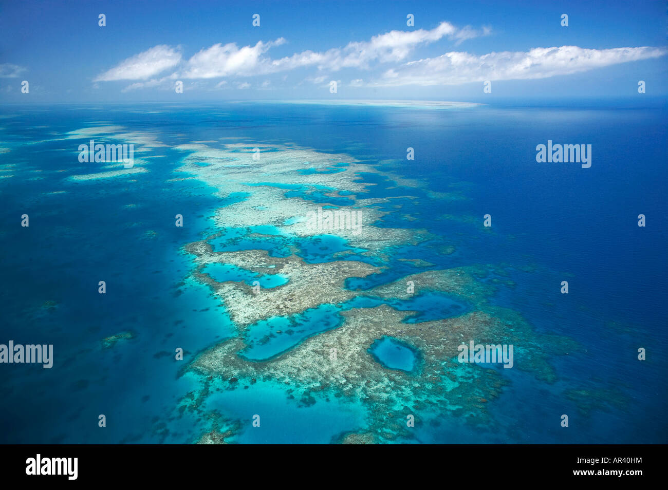 Tongue Reef Great Barrier Reef Marine Park North Queensland Australia ...