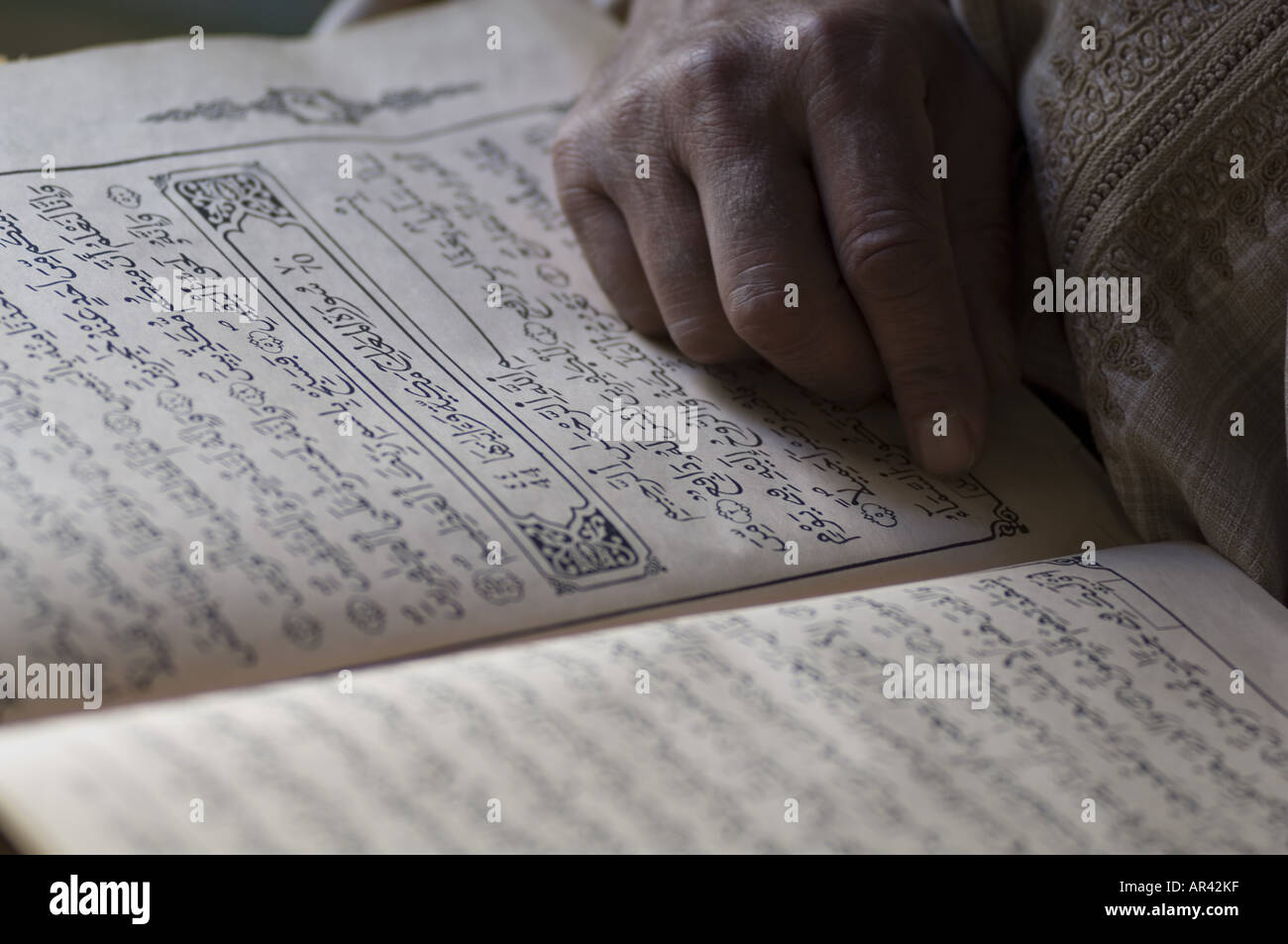 Man reading the Koran, Morocco Stock Photo - Alamy