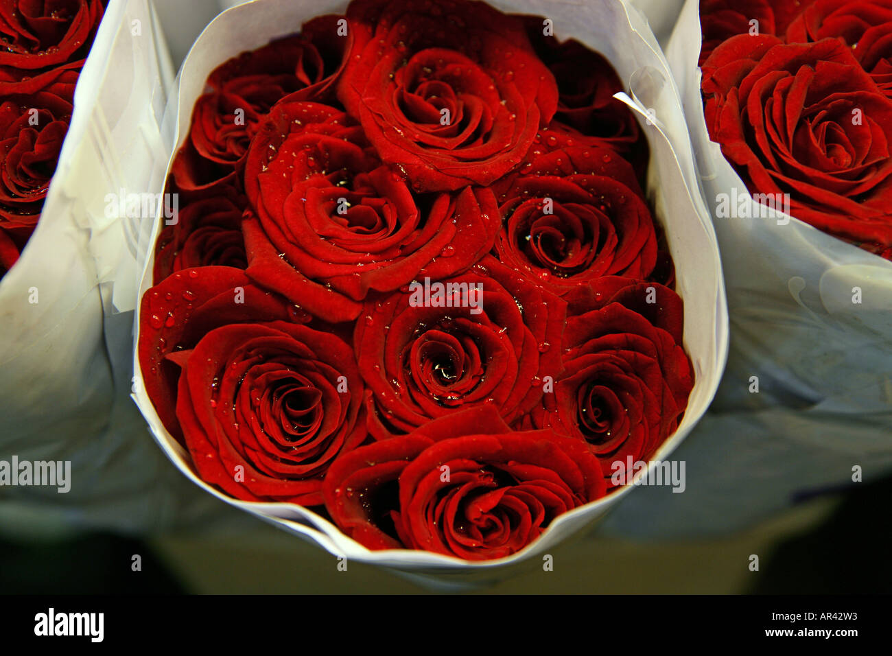 Shanghai flower market hi-res stock photography and images - Alamy