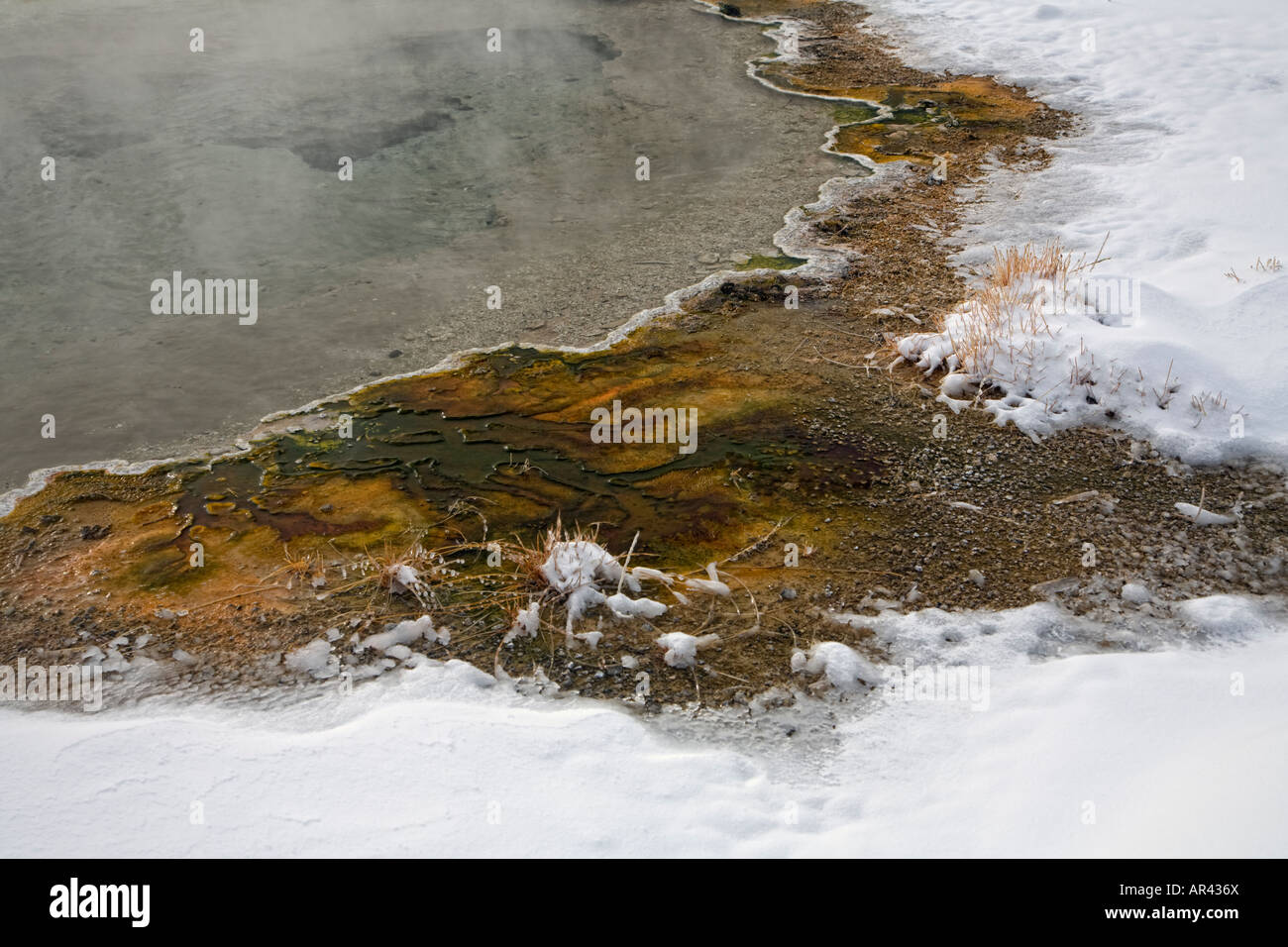Grand prismatic spring in winter hi-res stock photography and images ...