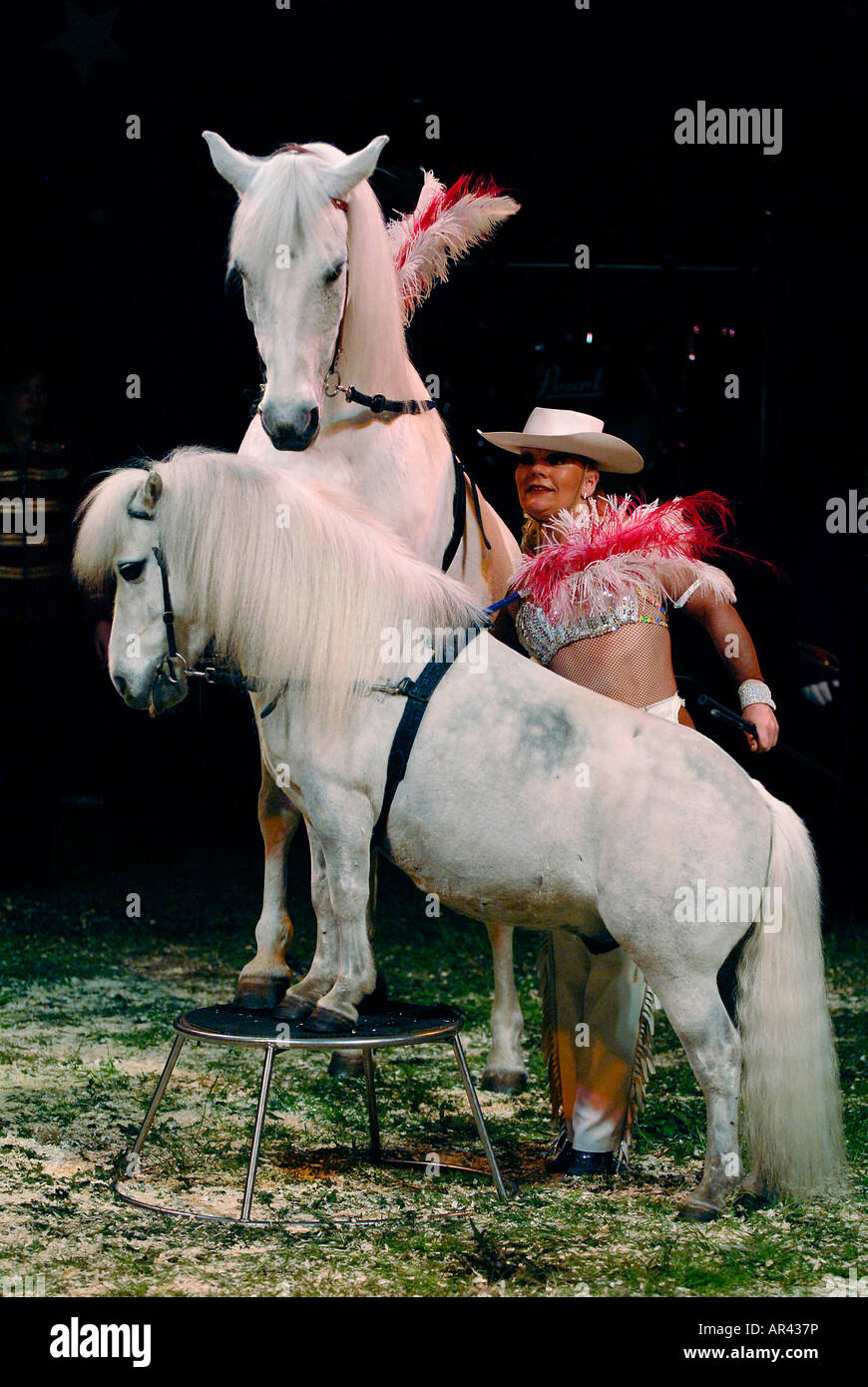 Paulos circus hi-res stock photography and images - Alamy